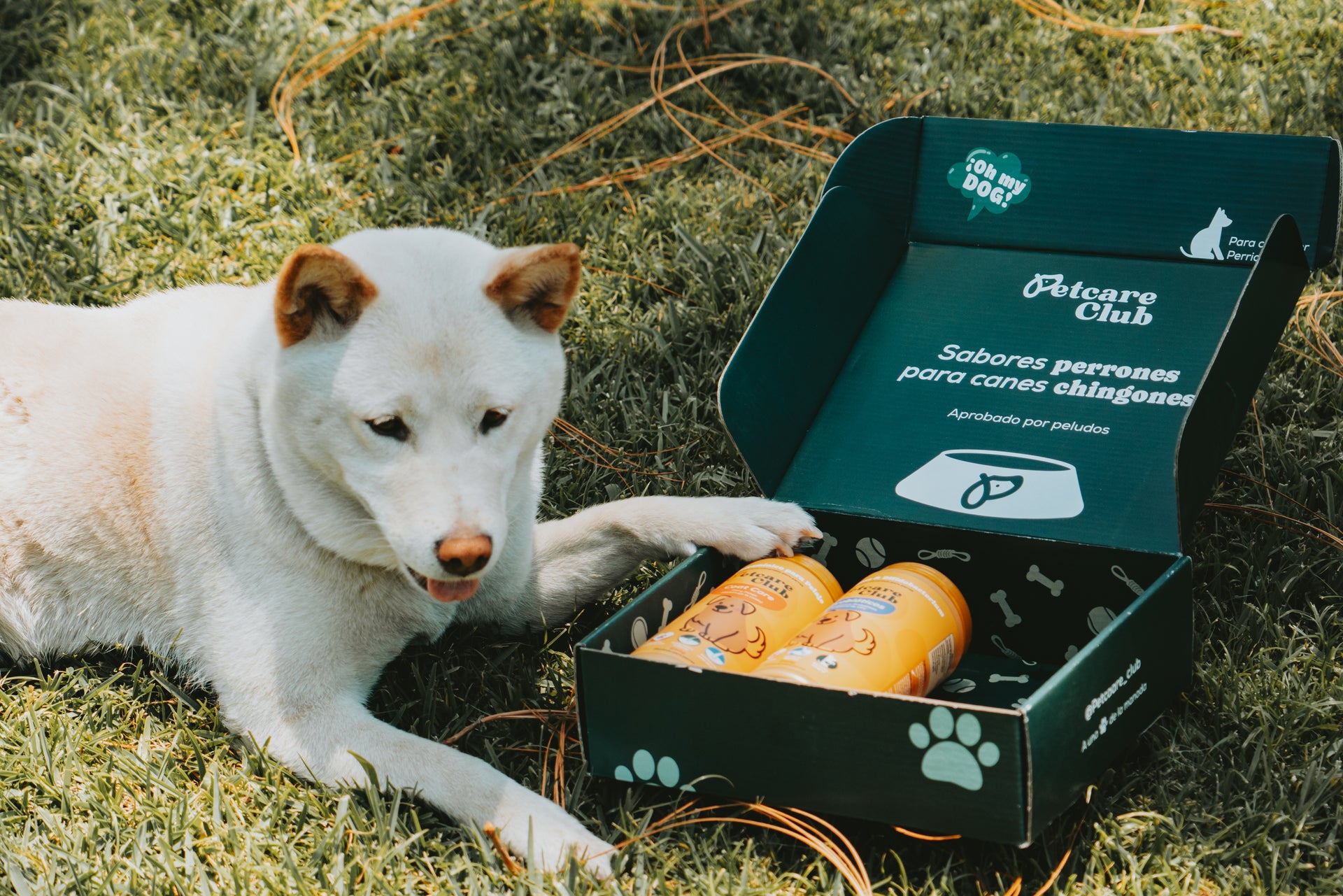 Pet Care Club - Suplementos para perros – Petcare club